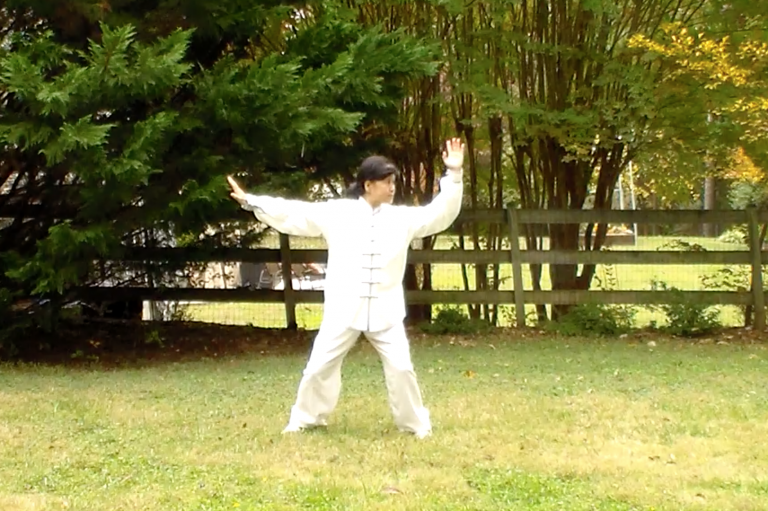 Mind and Body Fitness With Tai Ji (Chi) - MIndful Tai Ji